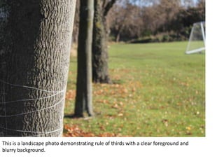 Photgraphic composition | PPTX