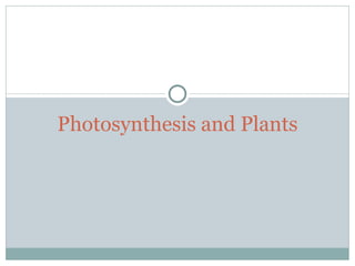 Photosynthesis & Plants | PPT
