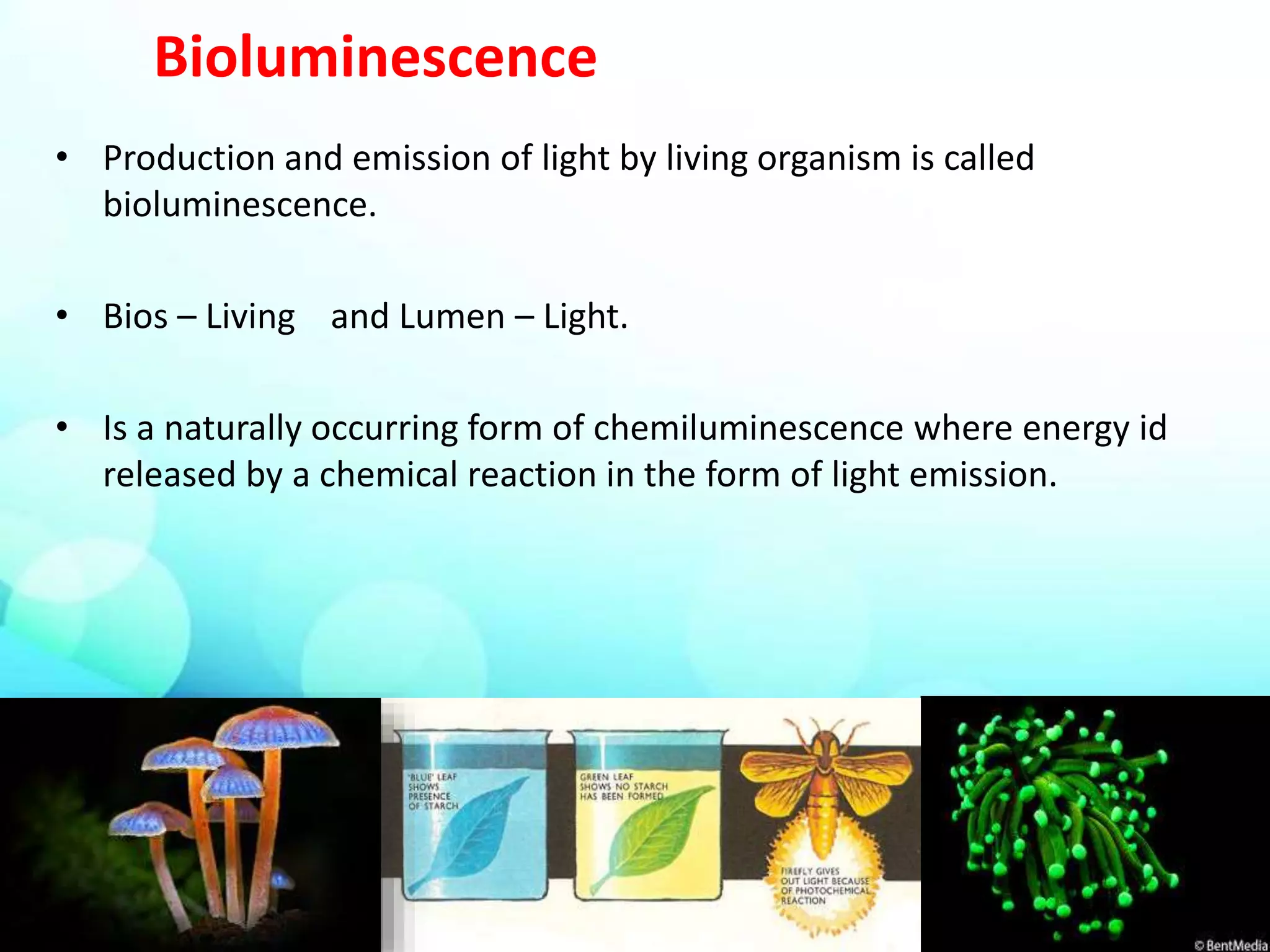 Photochemistry | PPTX
