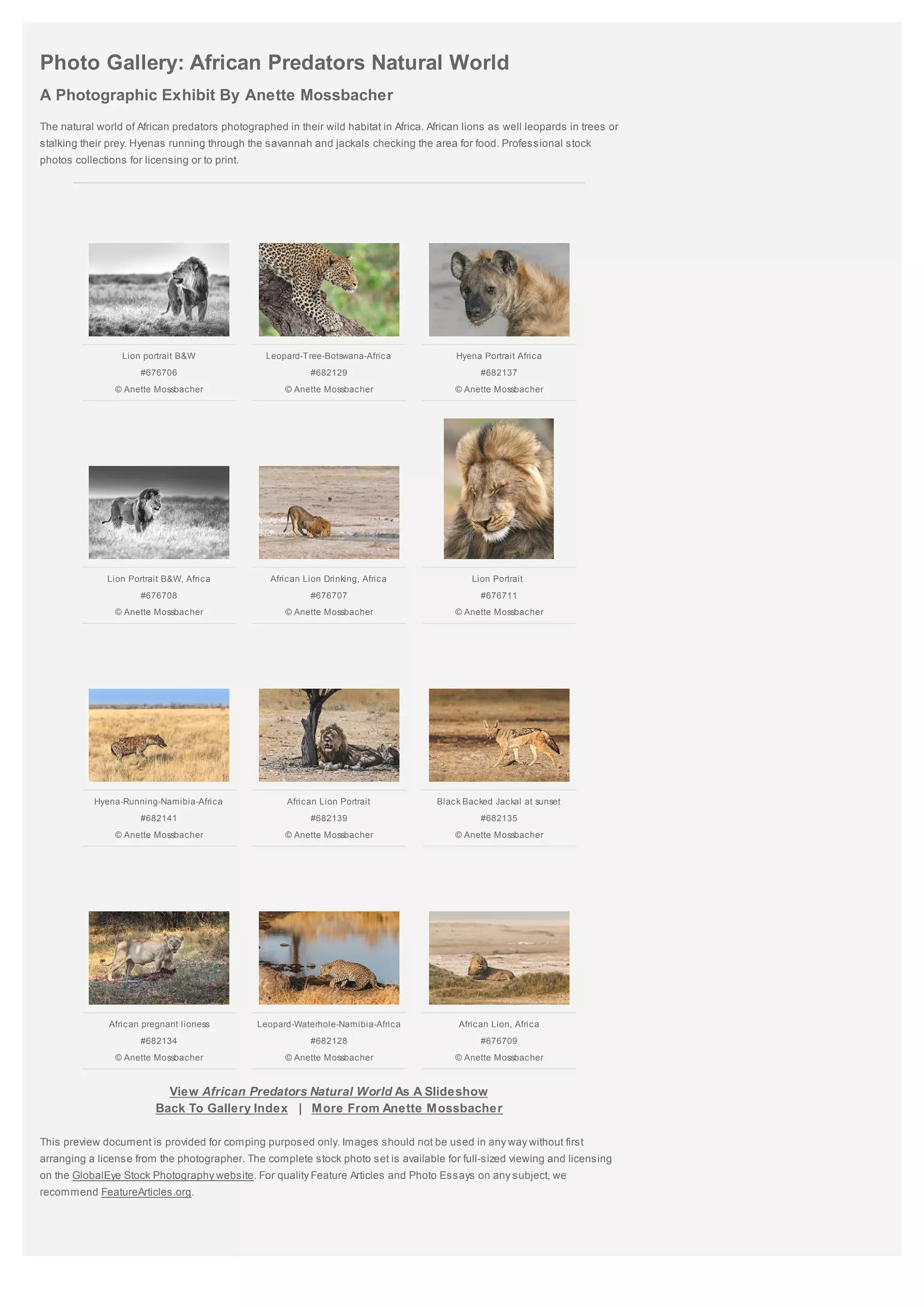 Photo Gallery of African Predators in their Natural Habitat | PDF