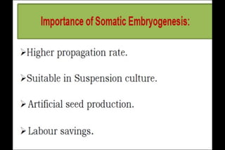 Somatic Embryogenesis | PPT