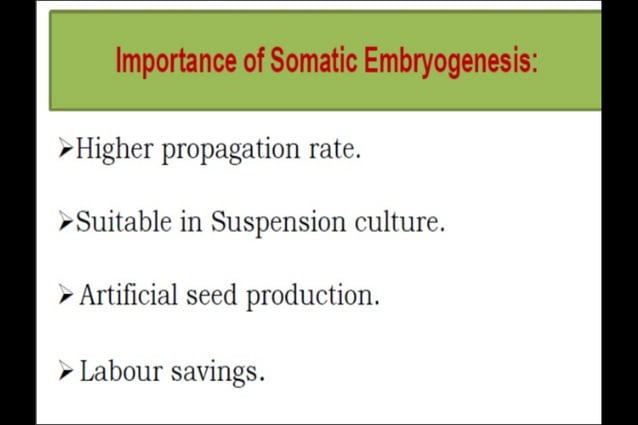 Somatic Embryogenesis | PPT