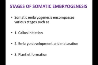 Somatic Embryogenesis | PPT