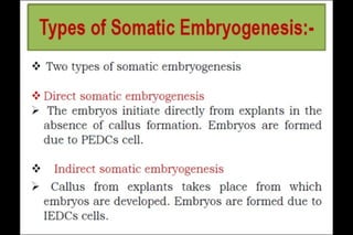 Somatic Embryogenesis | PPT