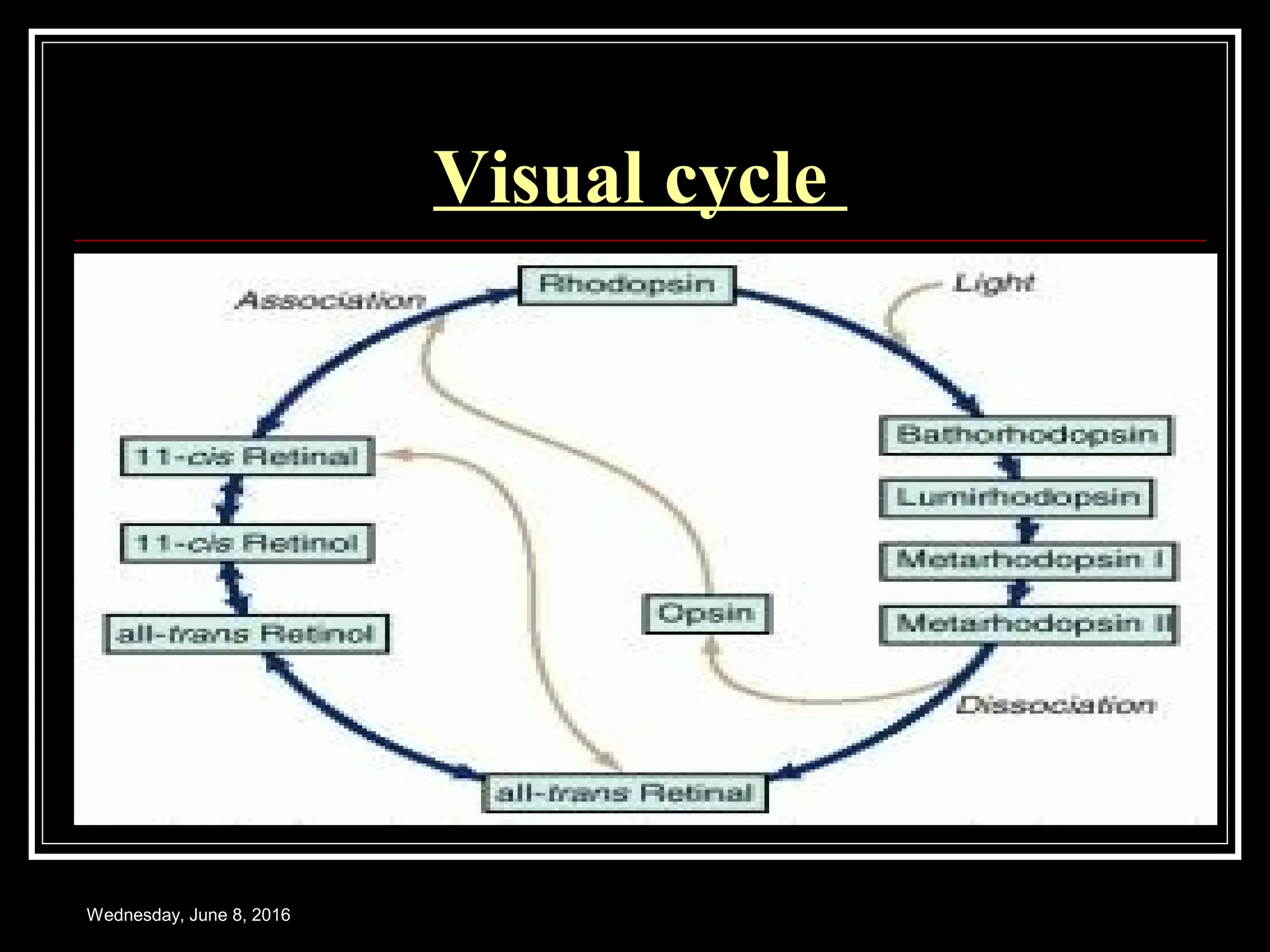 PHOTOCHEMISTRY OF VISION | PPT