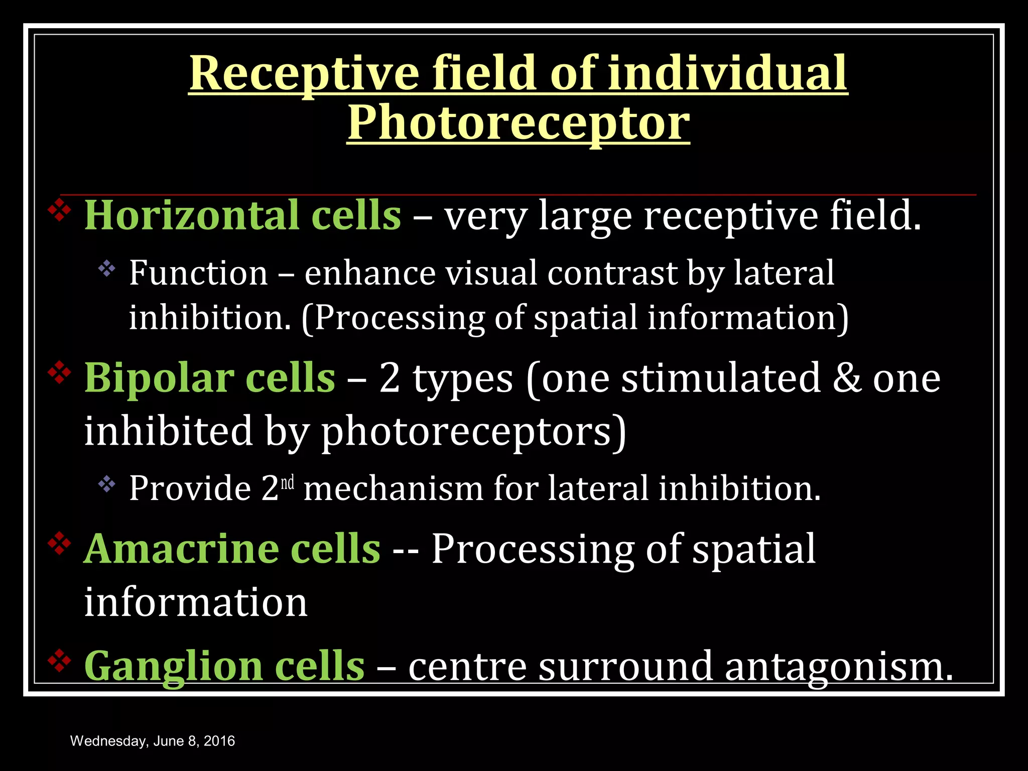 PHOTOCHEMISTRY OF VISION | PPT