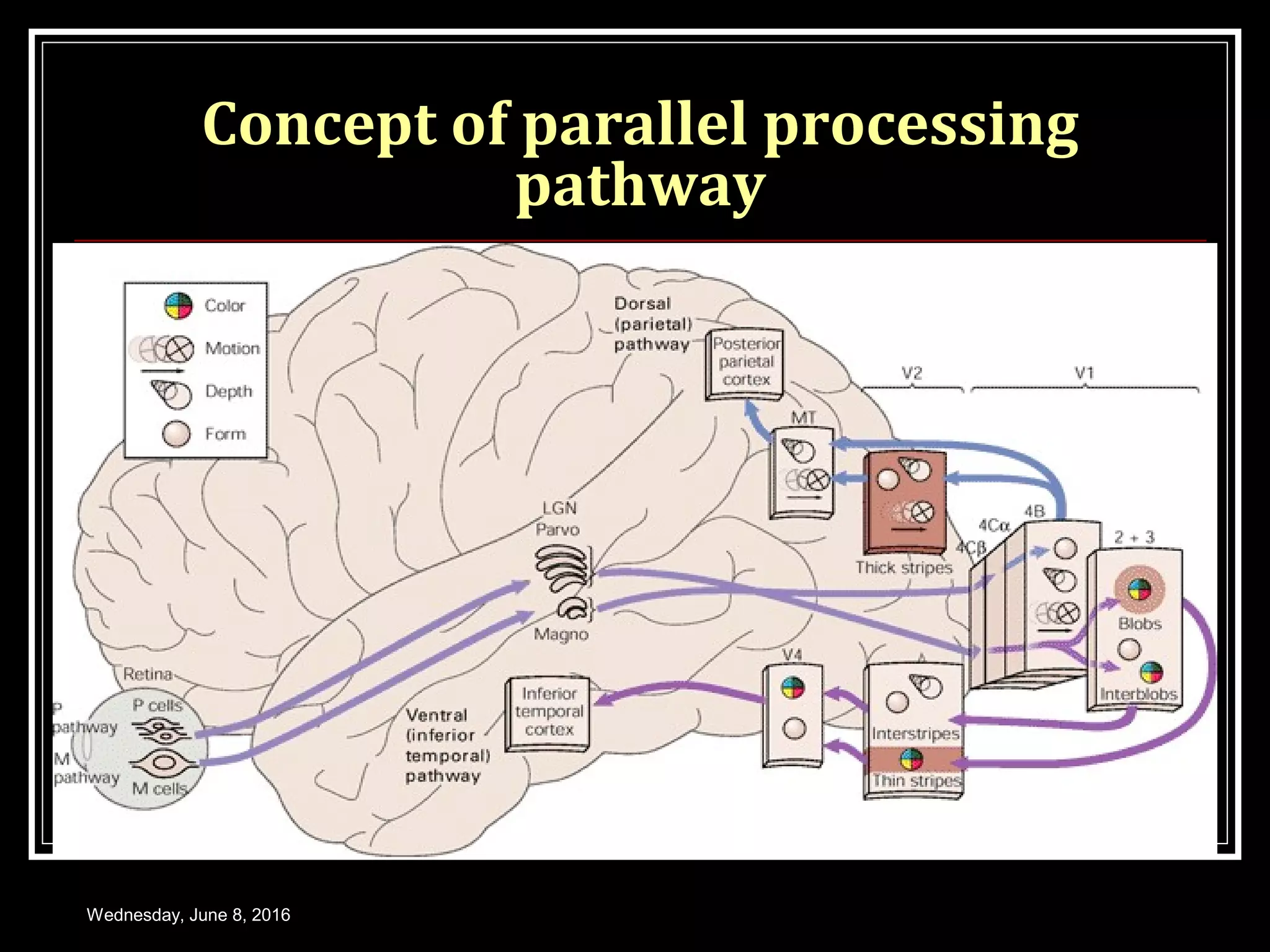 PHOTOCHEMISTRY OF VISION | PPT