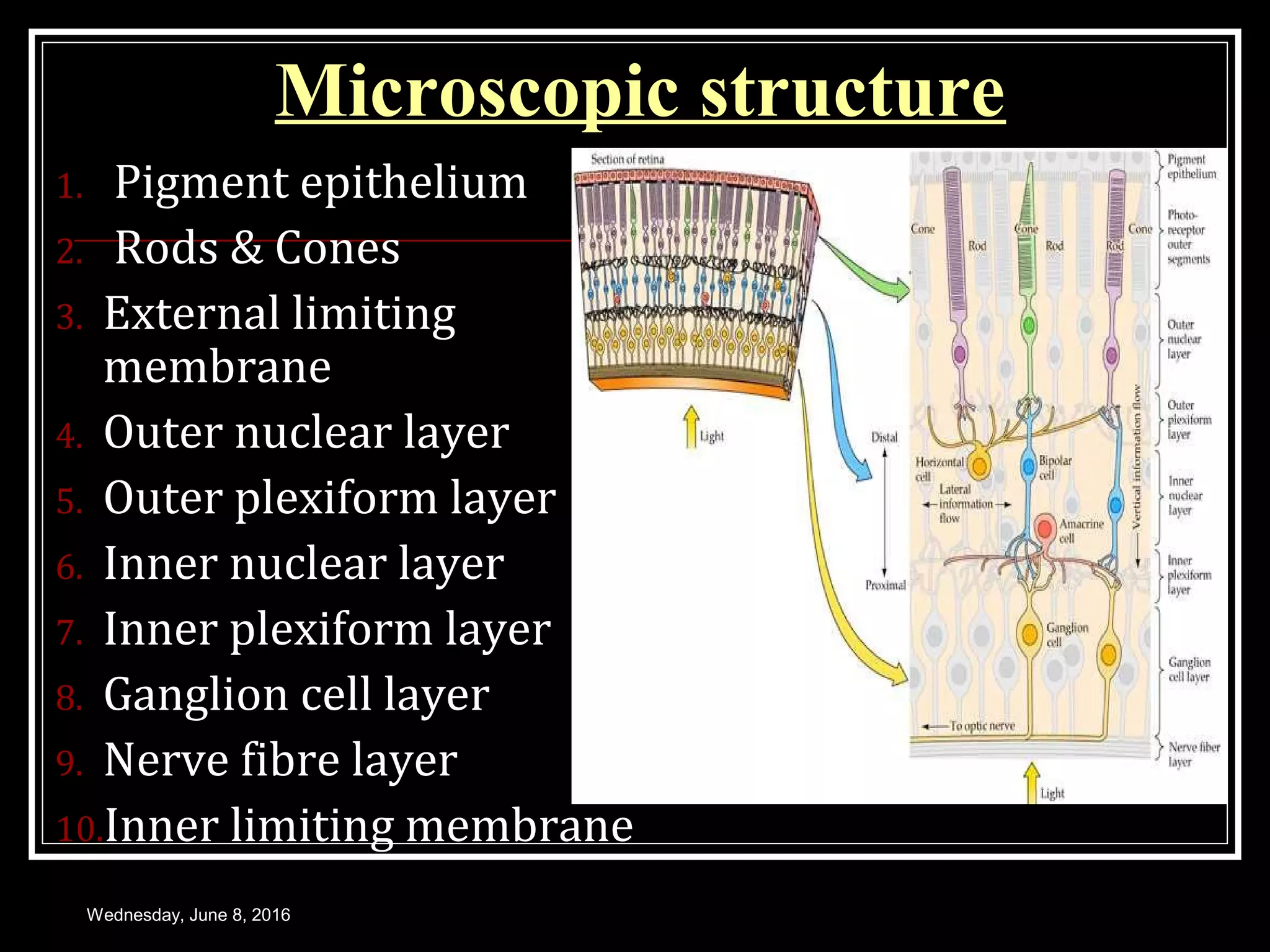 PHOTOCHEMISTRY OF VISION | PPT