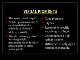 PHOTOCHEMISTRY OF VISION | PPT