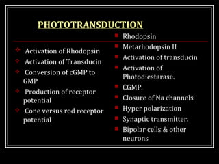 PHOTOCHEMISTRY OF VISION | PPT | Eye and Vision Conditions | Diseases ...