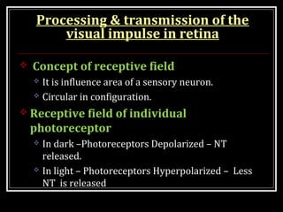 PHOTOCHEMISTRY OF VISION | PPT