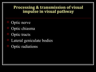 PHOTOCHEMISTRY OF VISION | PPT