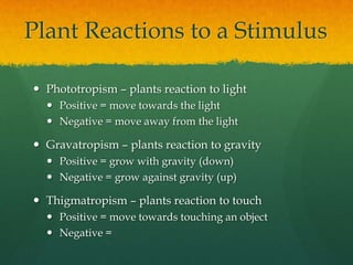 Photo cr with plant anatomy | PPTX