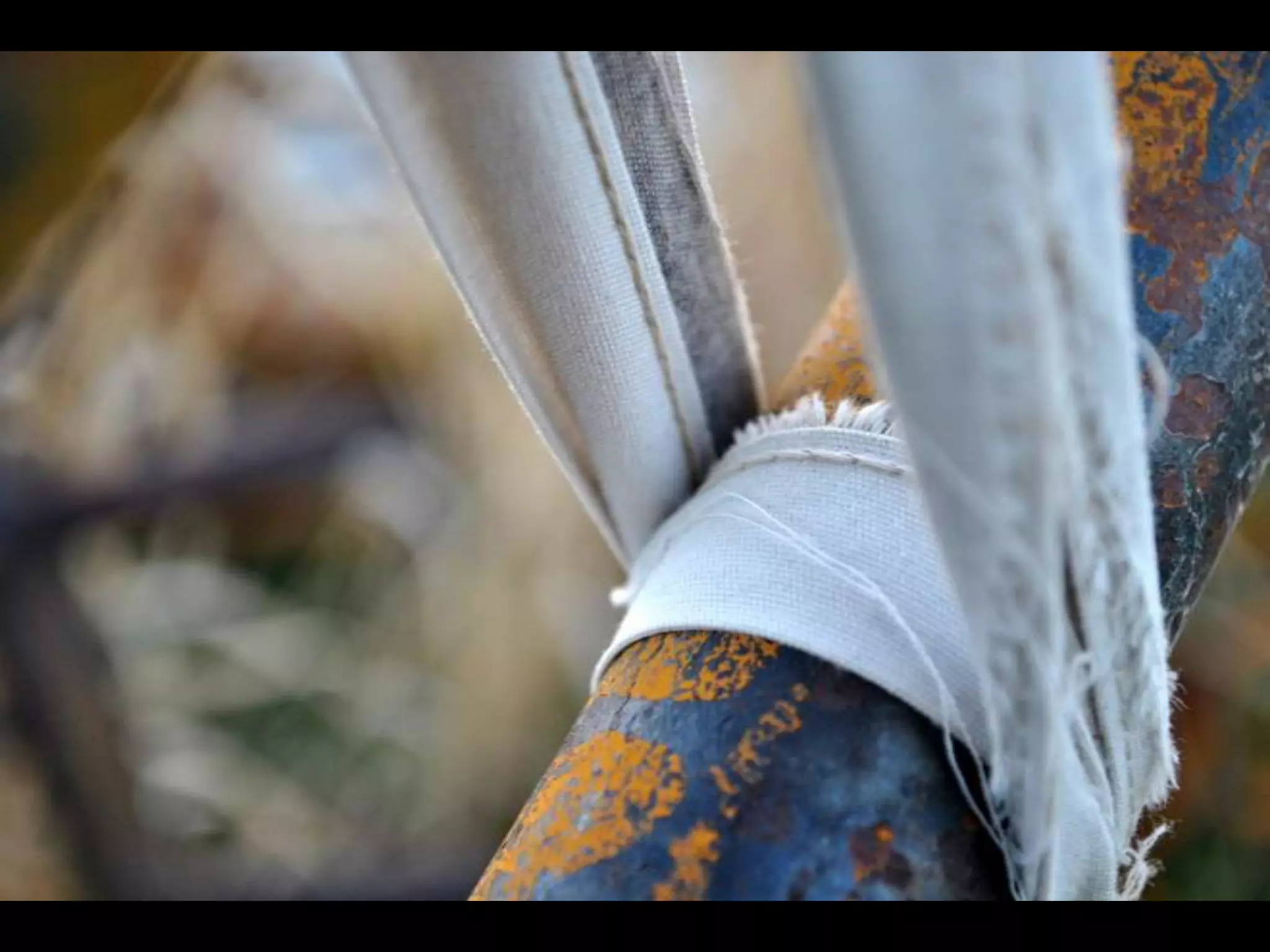 Rule of Thirds Examples | PPTX