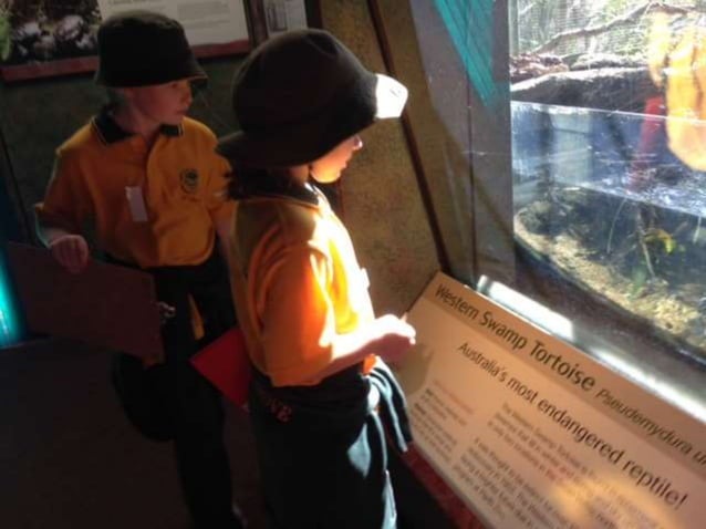 Zoo Excursion | PPT