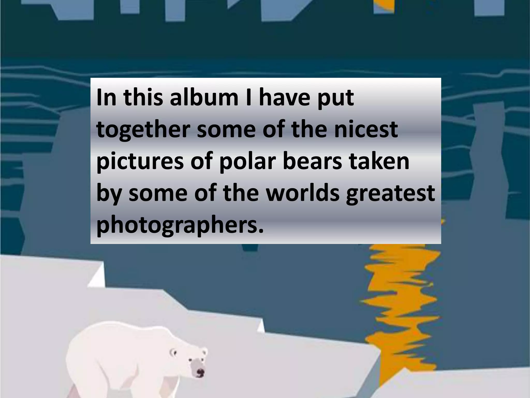 Photo album polar bears presentation | PPTX