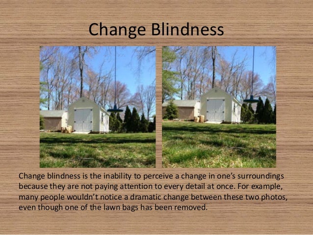 Change Blindness