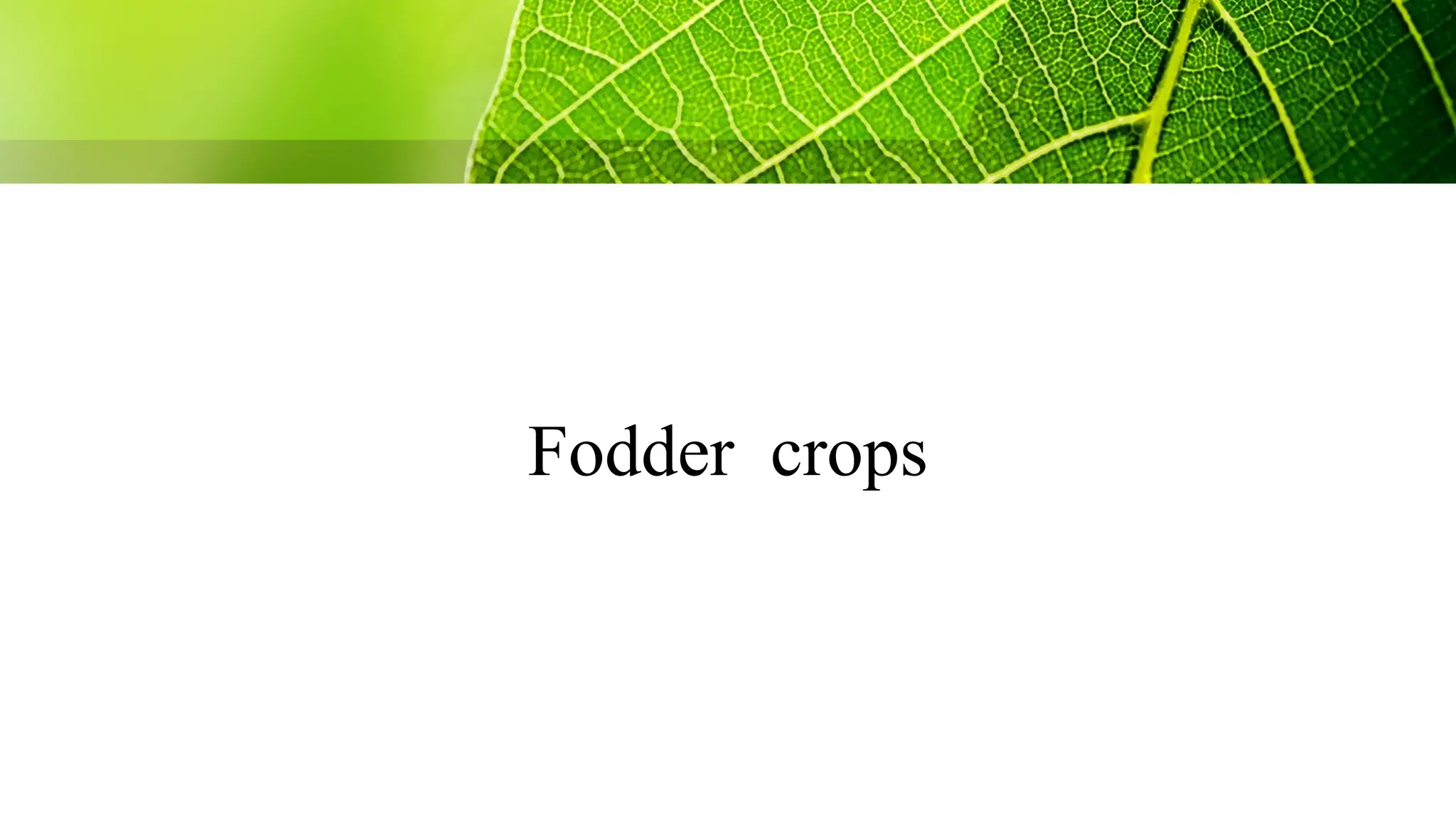 introduction to FIELD CROPS(photo album).pptx