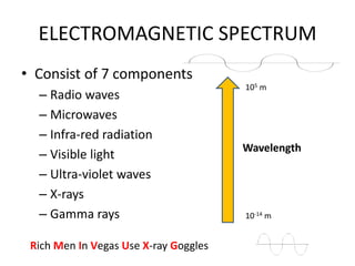 Photobiology and sunscreen | PPTX