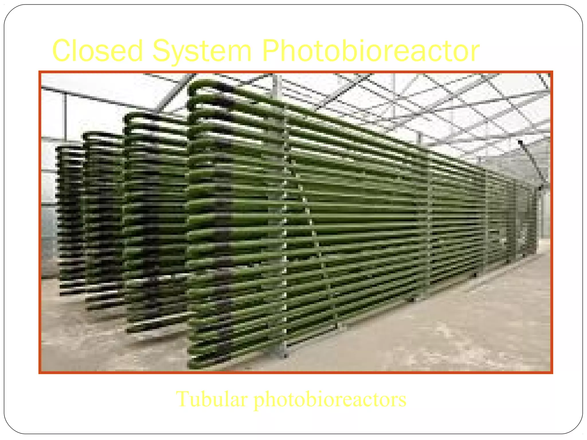 Photobioreactor | PPT