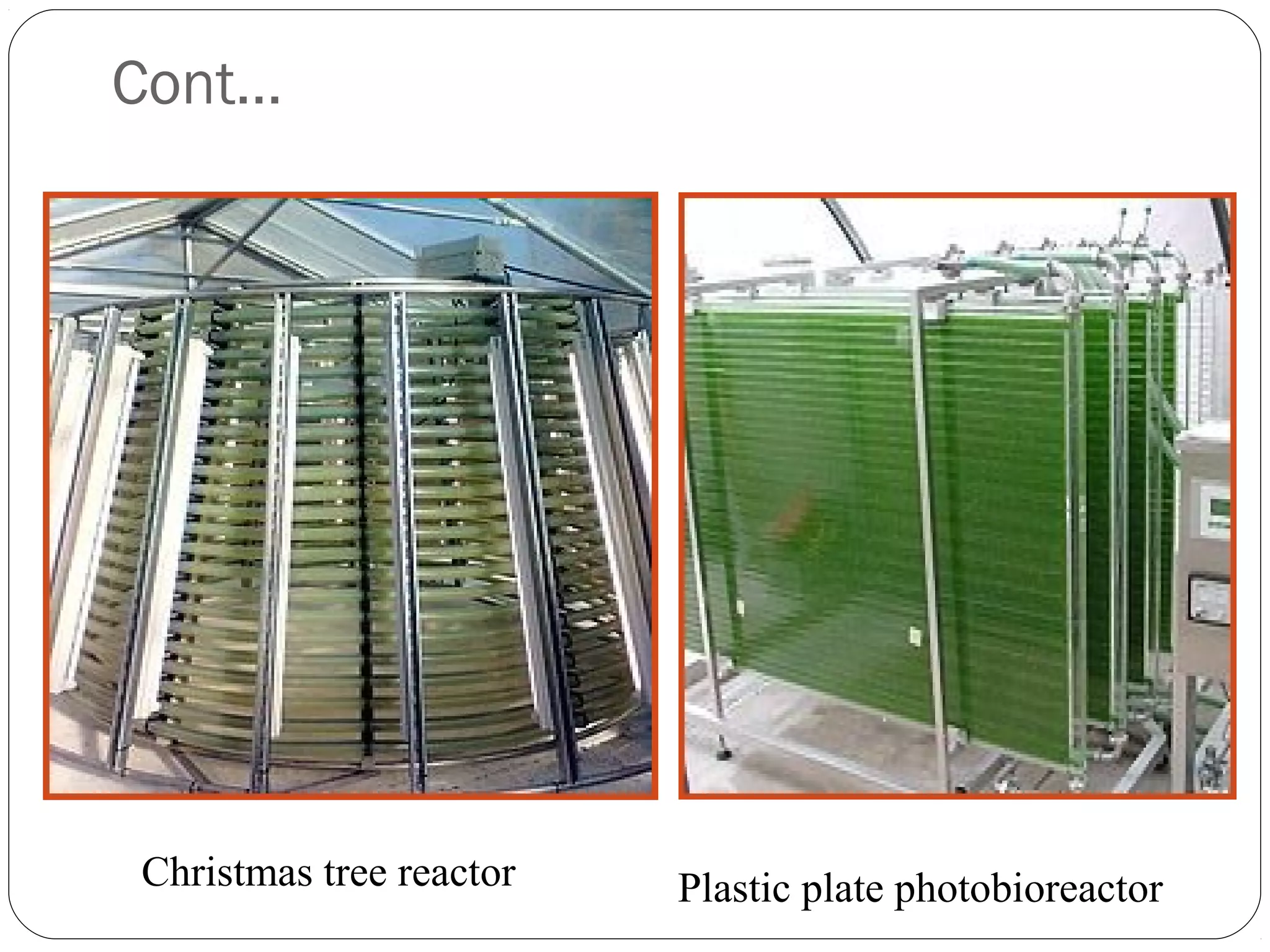 Photobioreactor | PPT