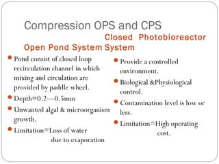 Photobioreactor | PPT
