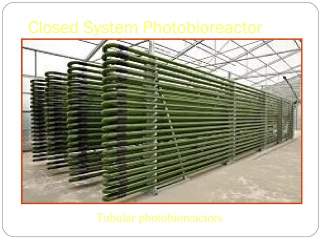 Photobioreactor | PPT