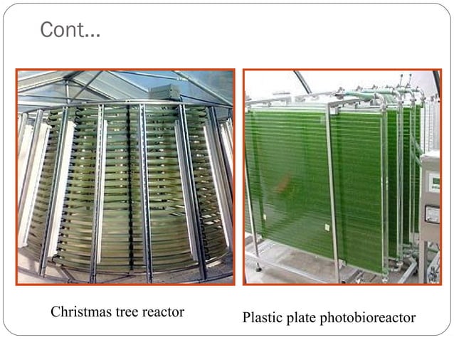 Photobioreactor | PPT | Biotech and Biomedical Industry | Industries