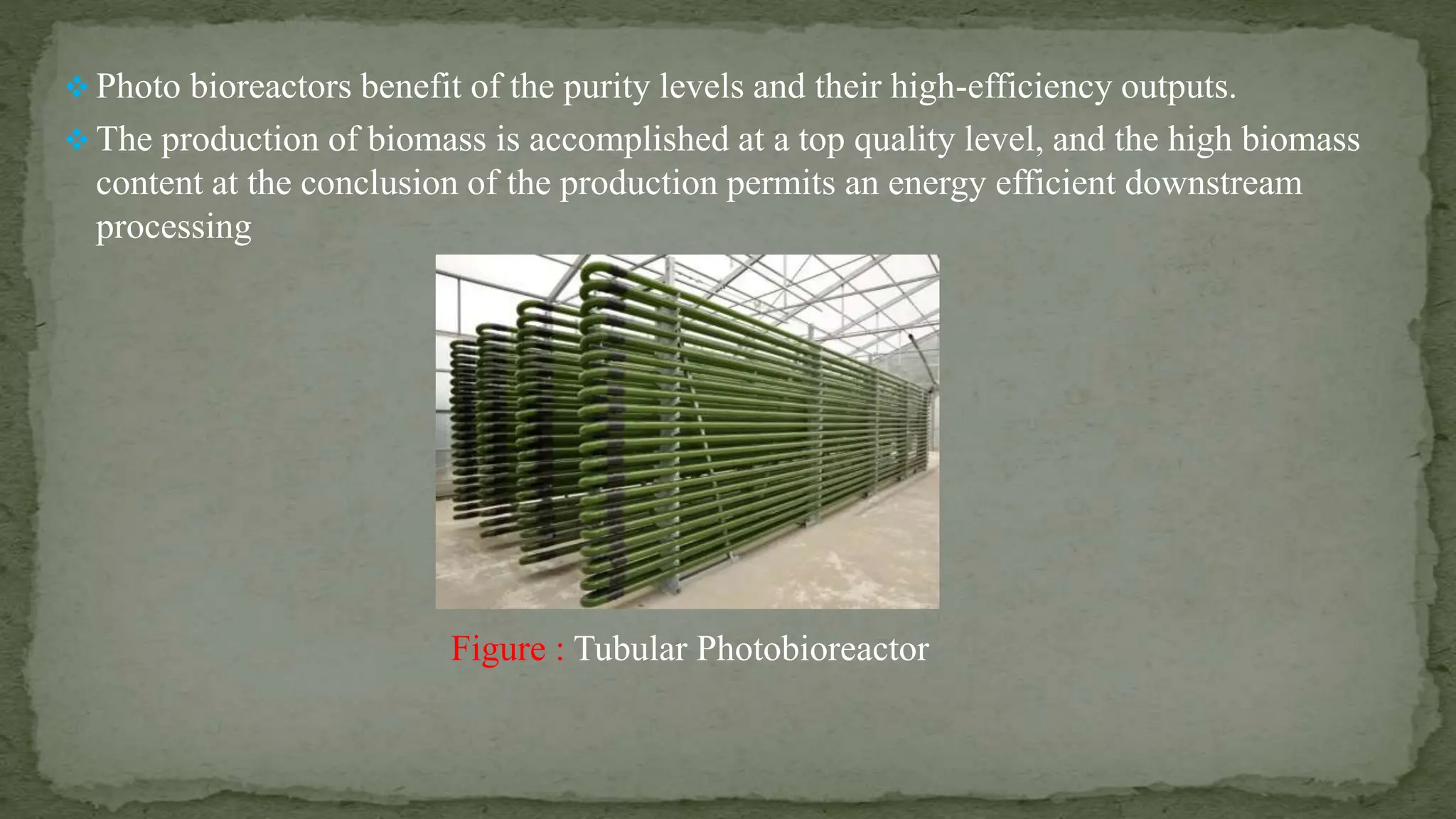 Photobioreactor Pptx Pptx