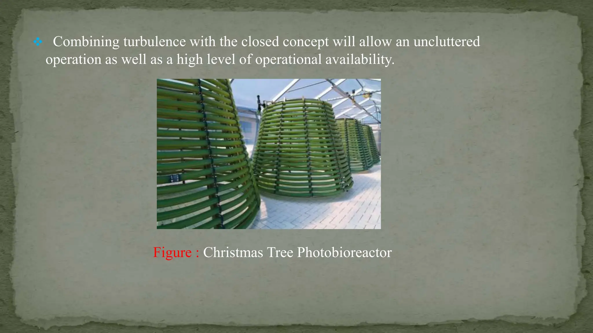 Photobioreactor Pptx Pptx