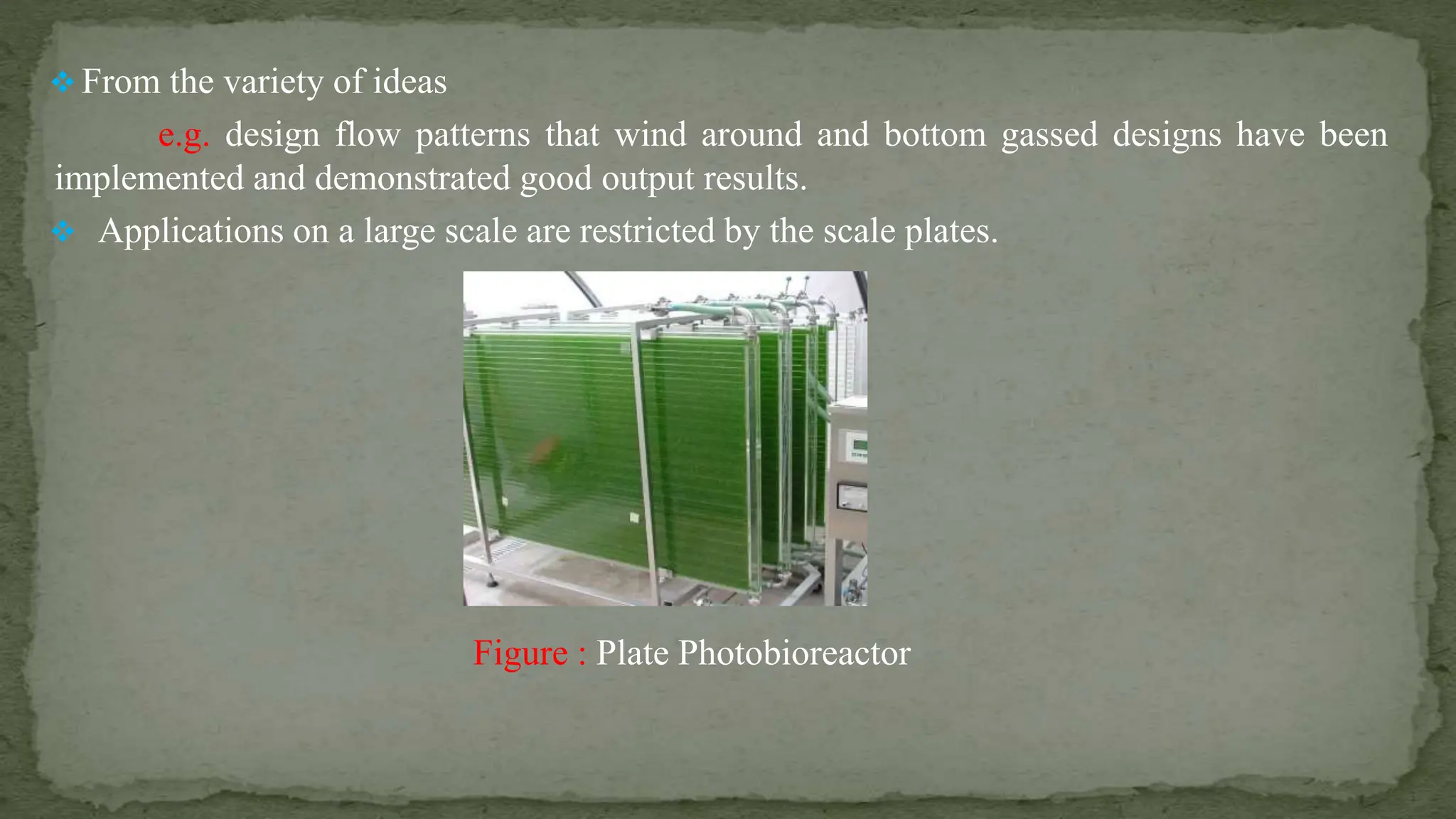 Photobioreactor Pptx Pptx
