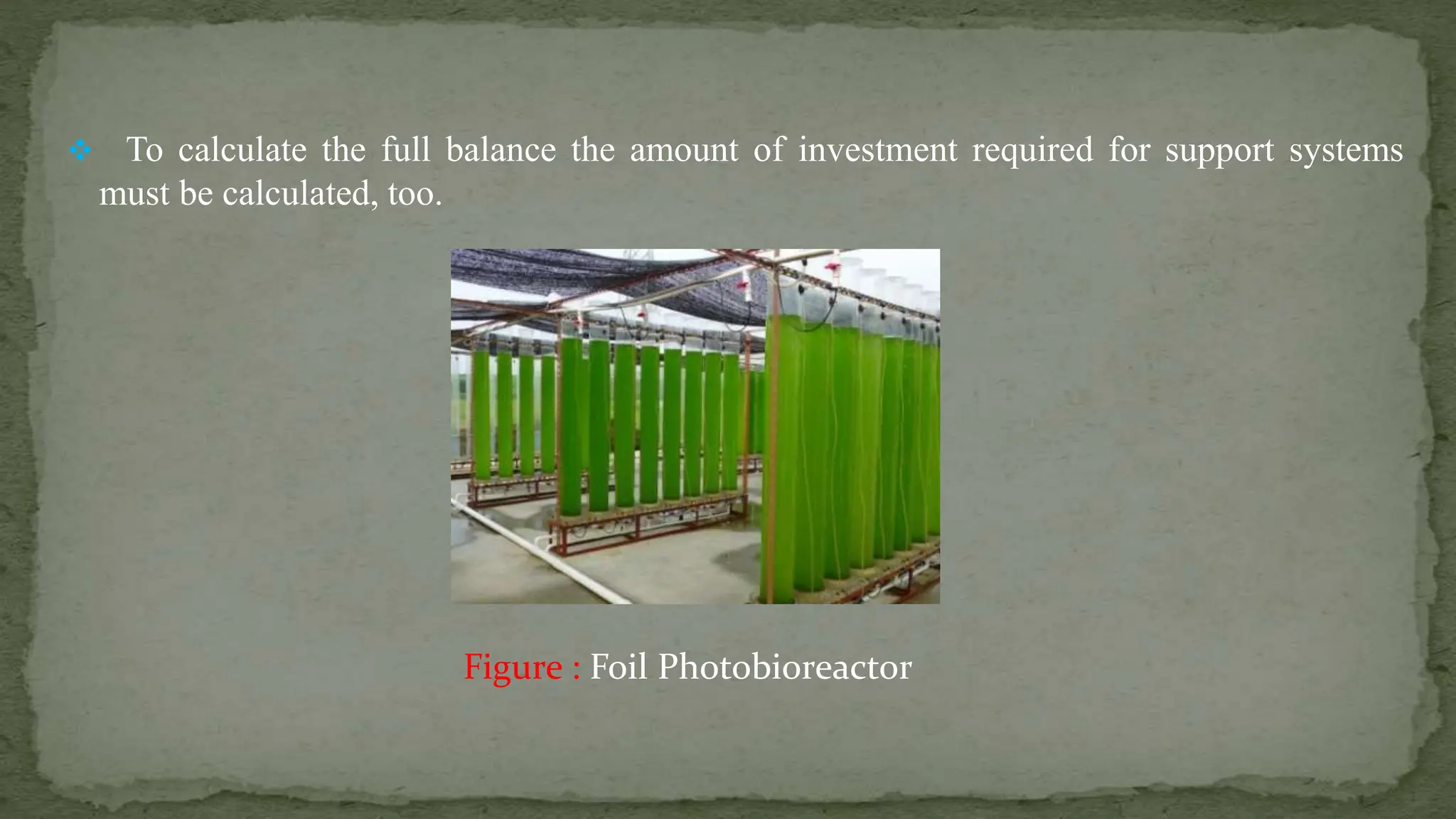 Photobioreactor Pptx Pptx