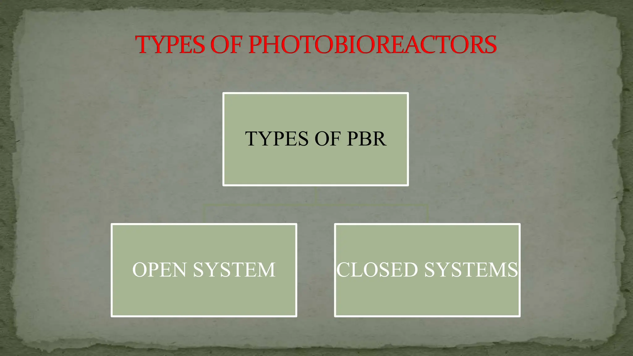 photobioreactor pptx | PPTX