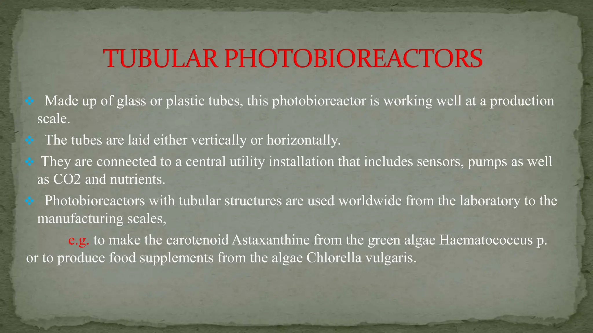 photobioreactor pptx | PPTX