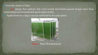 photobioreactor pptx | PPTX