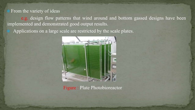 photobioreactor pptx | PPTX | Chemistry | Science