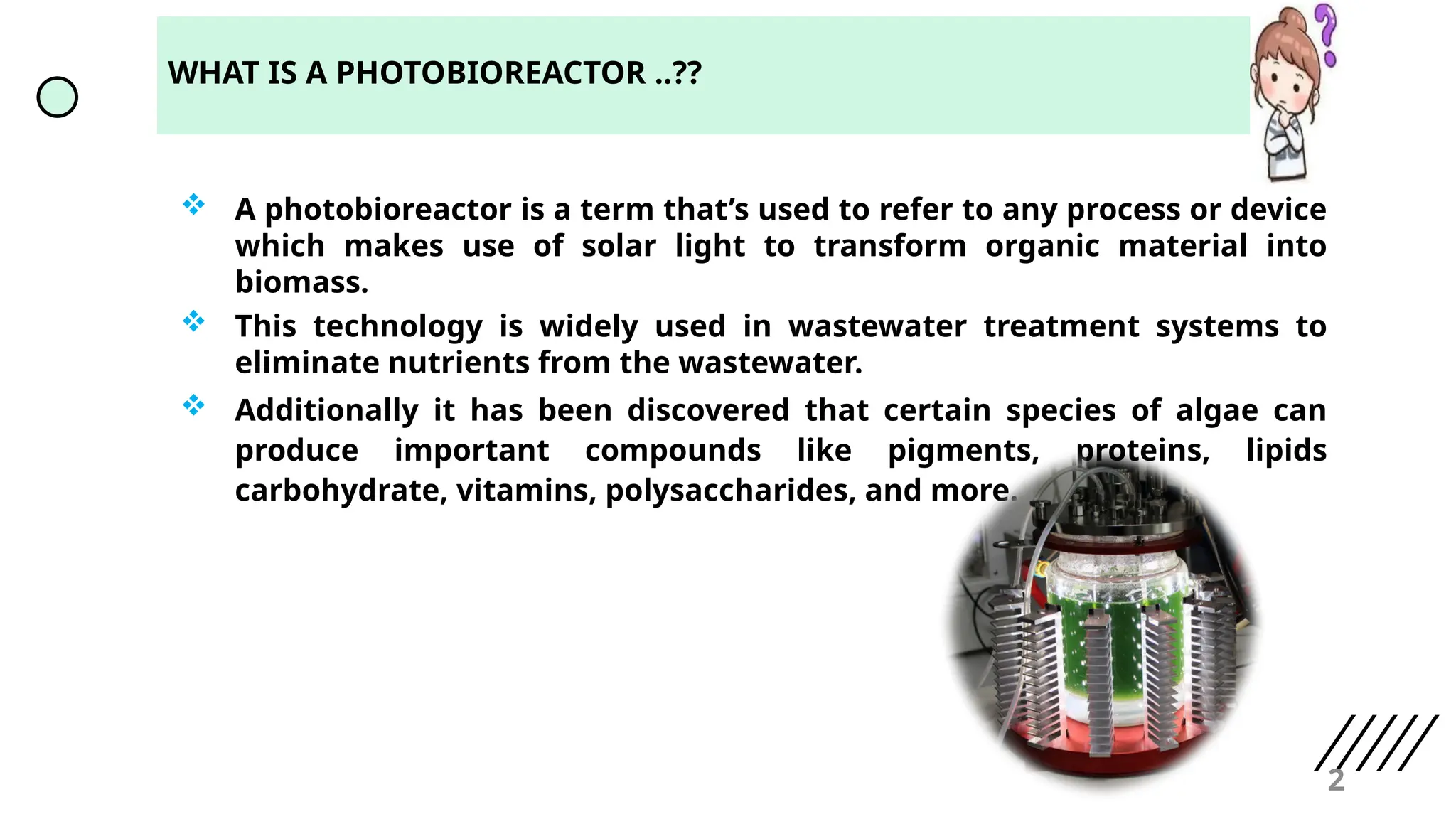 photobioreactor Bio process engineering.pptx