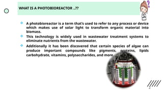 photobioreactor Bio process engineering.pptx
