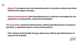photobioreactor Bio process engineering.pptx