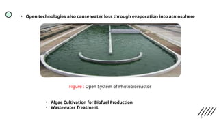 photobioreactor Bio process engineering.pptx