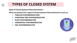 photobioreactor Bio process engineering.pptx