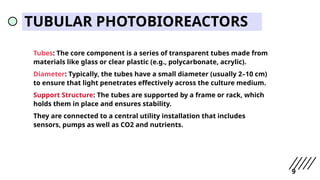 photobioreactor Bio process engineering.pptx