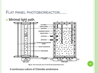 Photobioreactors | PPTX