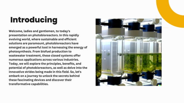 Photobioreactors Harnessing Photosynthesis for Sustainable Innovation ...