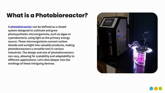Photobioreactors Harnessing Photosynthesis for Sustainable Innovation ...