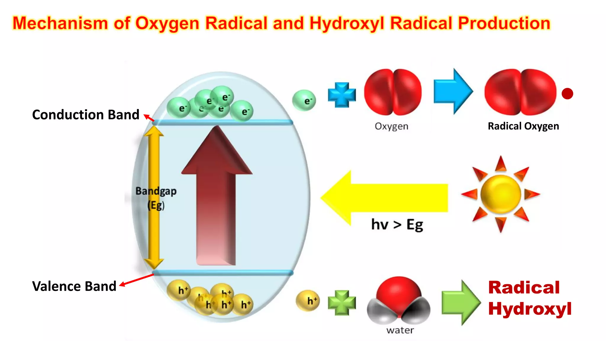 Photocatalyst Principle and Application | PDF