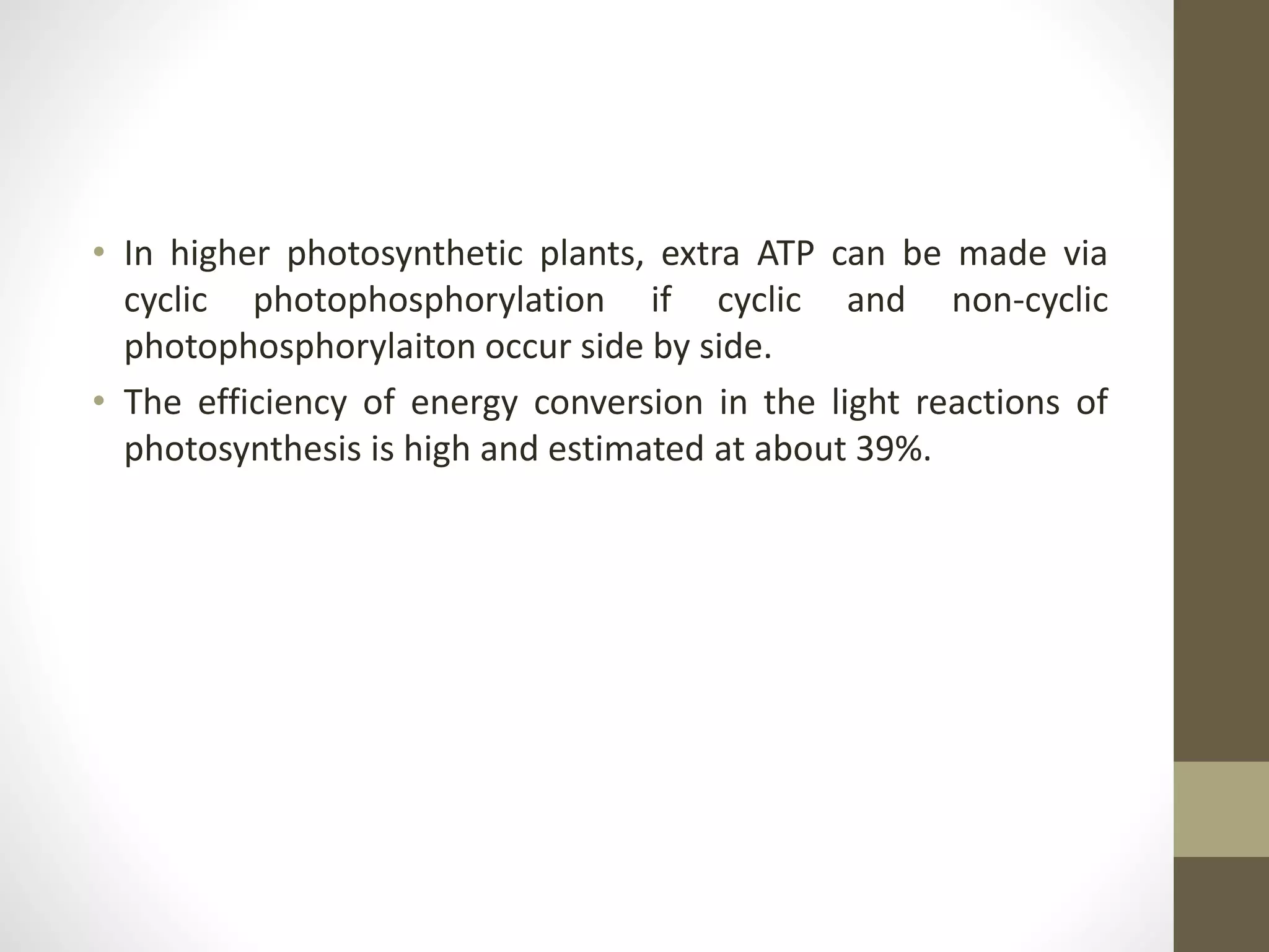 Photochemical and biosynthetic phase | PPTX