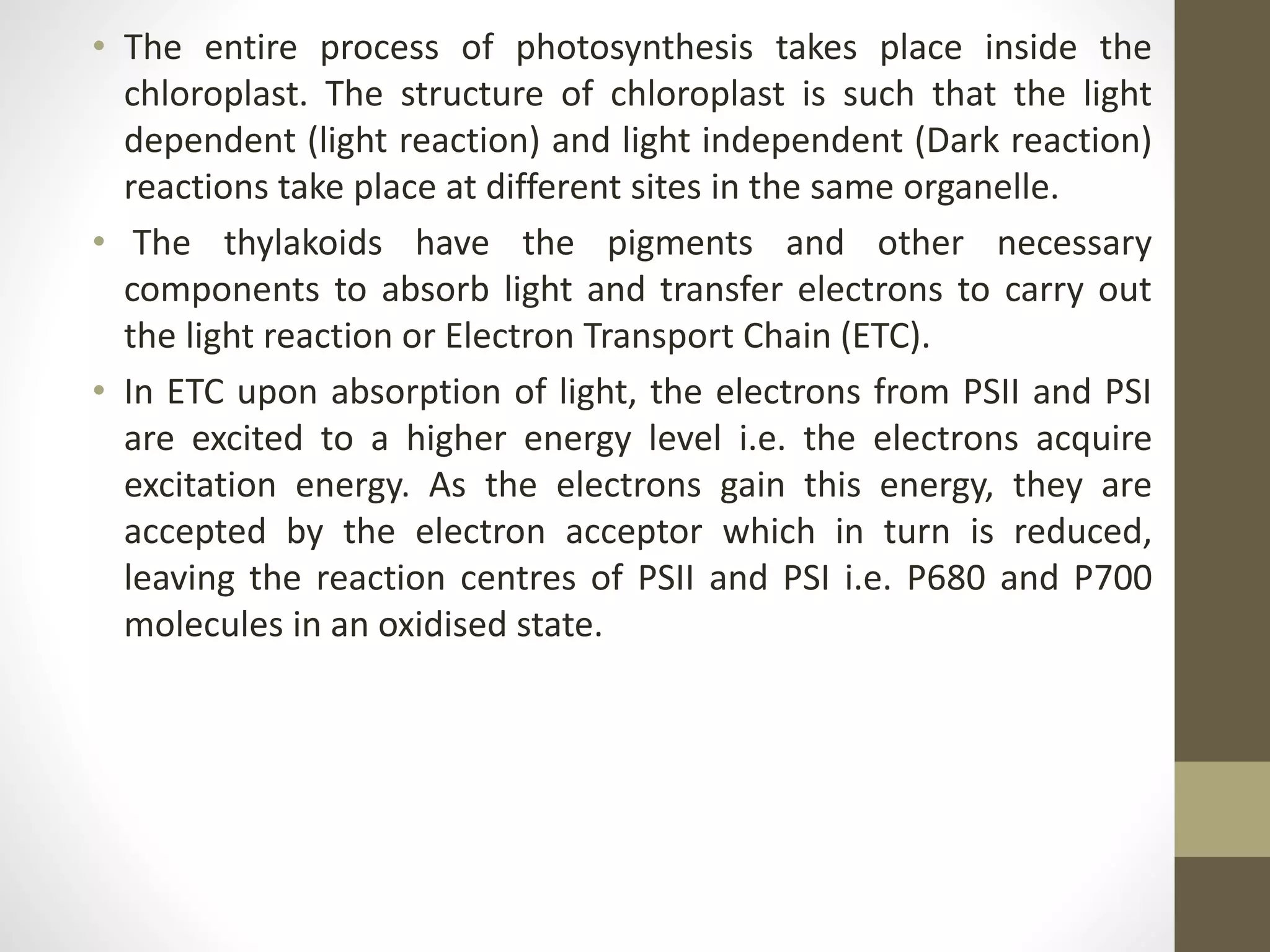 Photochemical and biosynthetic phase | PPTX