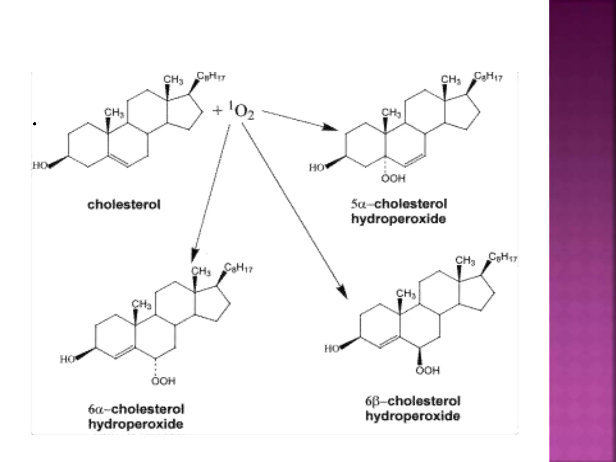 Photochemical reactions | PPTX