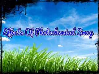 Photochemical smog | PPT